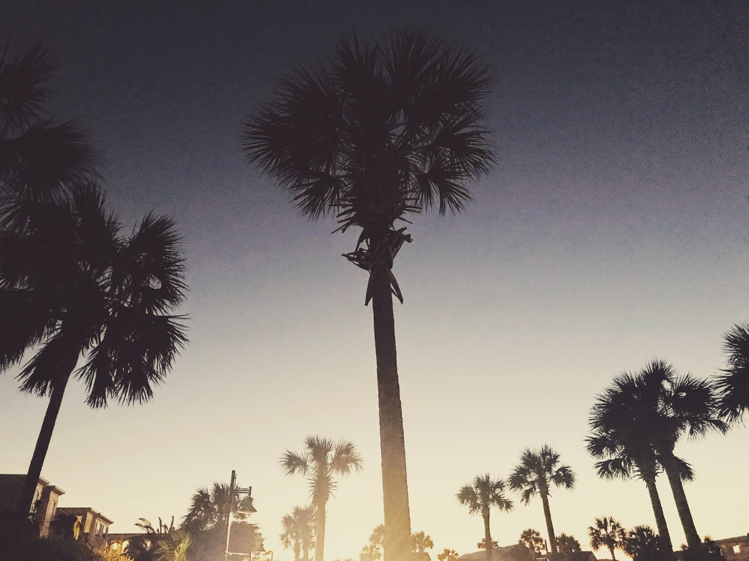 Everything You Need to Know About Isle of Palms Beach Parking - East ...