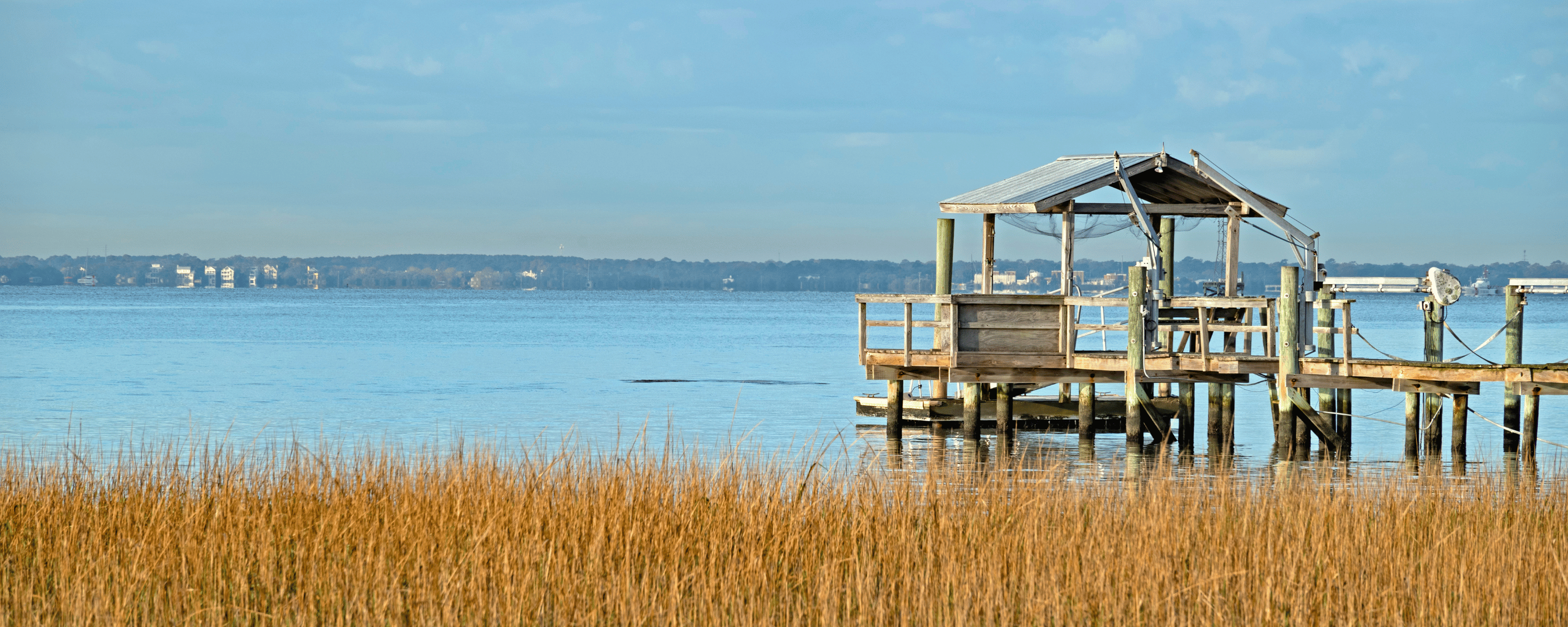 Our Favorite Charleston Water Activities | East Islands Rentals